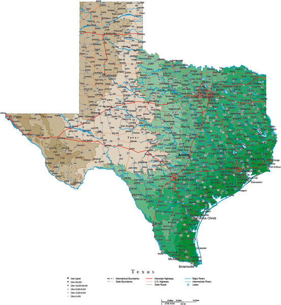 Texas Contour Map in Adobe Illustrator Digital Vector Format