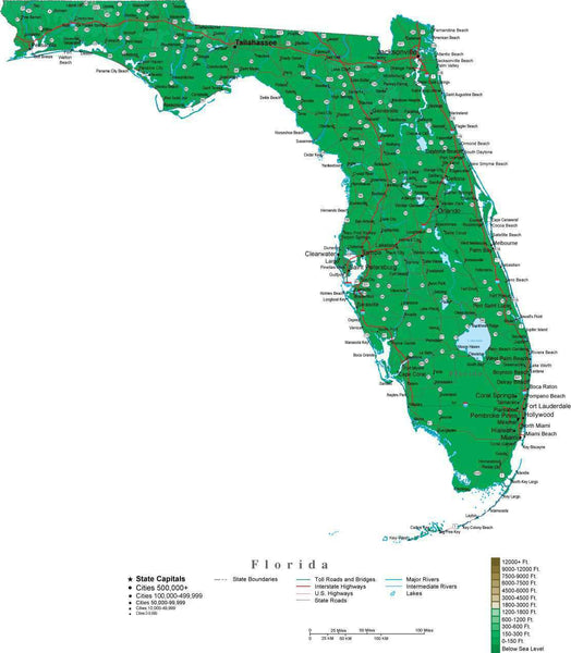 Florida Contour Map in Adobe Illustrator Digital Vector Format