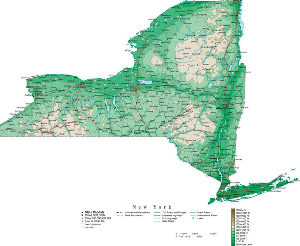 New York Contour Map in Adobe Illustrator Digital Vector Format