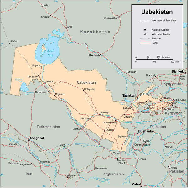 Digital Uzbekistan map in Adobe Illustrator vector format